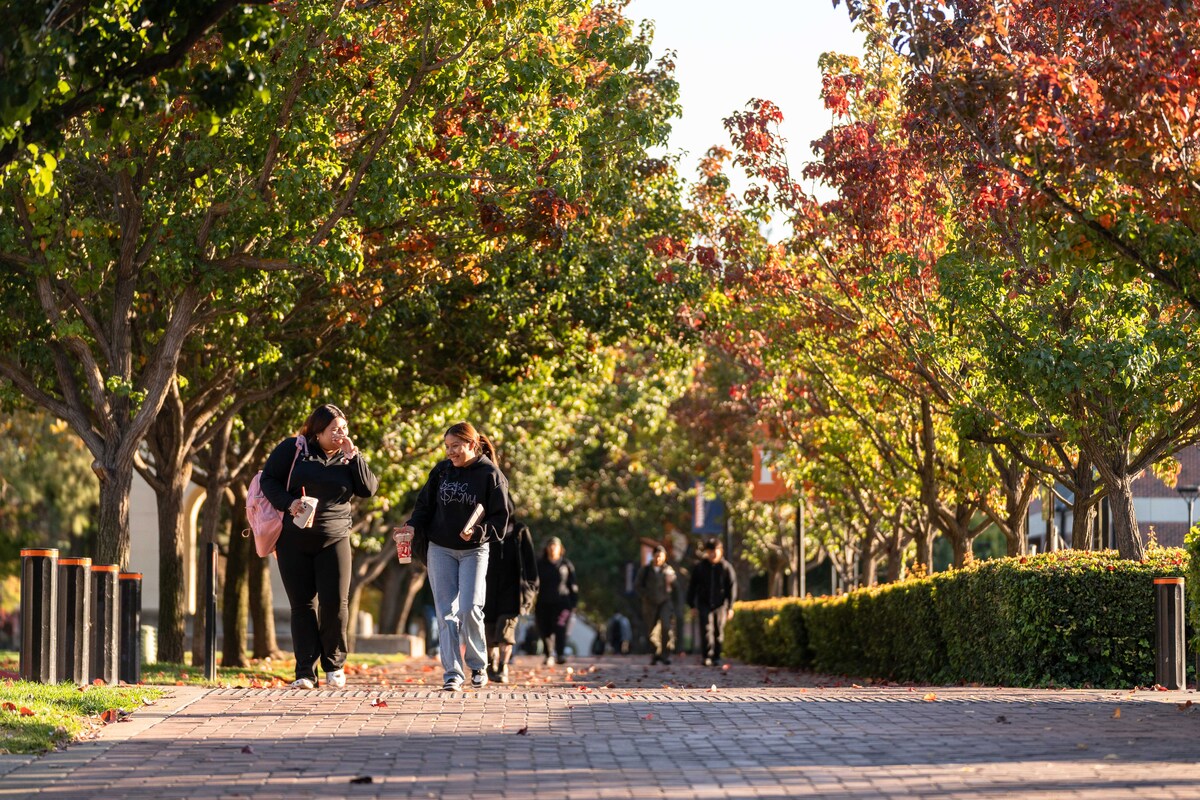 How to set up a tuition | The Pacific Parent and Family Network